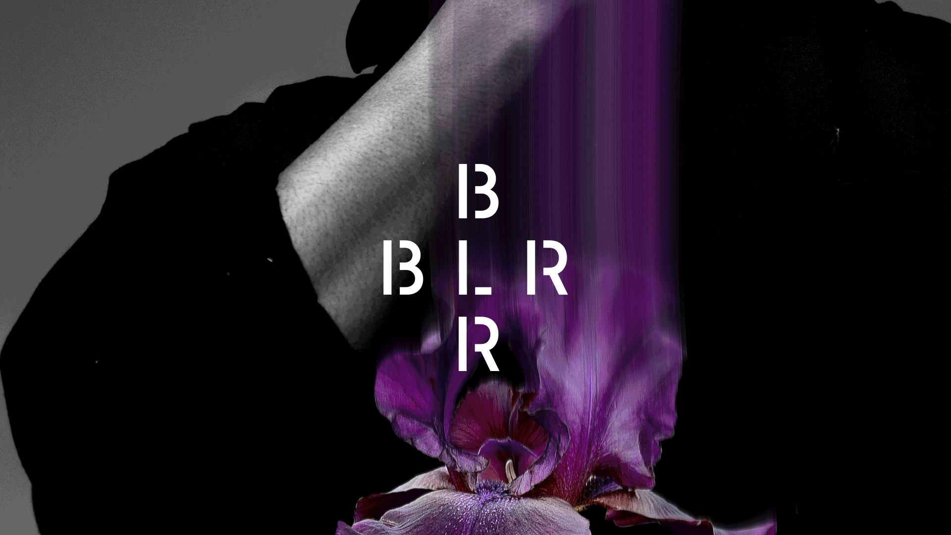 B L R - Richard Robinson Design